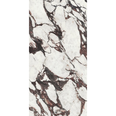 Medicea Marble 🏆 Pol Rect 60x120 керамогранит от Ape ceramica купить ...