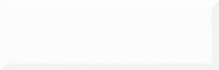 Japan Tea Monocolor Biselado Brillo Blanco 10x30 настенная плитка от Absolut Keramika купить ...